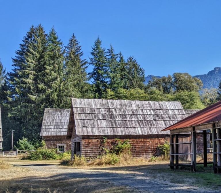 Quinault Rainforest and Kestner Homestead - FoxRVTravel