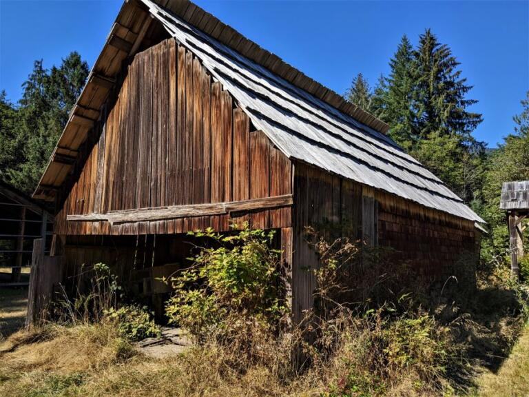 Quinault Rainforest and Kestner Homestead - FoxRVTravel