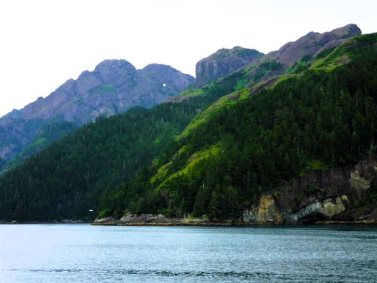 Exploring Seward and Resurrection Bay - FoxRVTravel