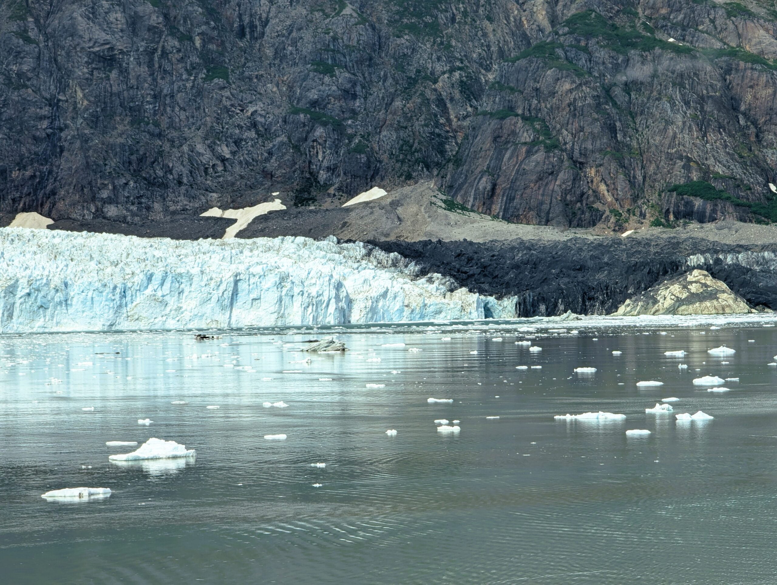 An Unforgettable Cruise through Glacier Bay National Park - FoxRVTravel