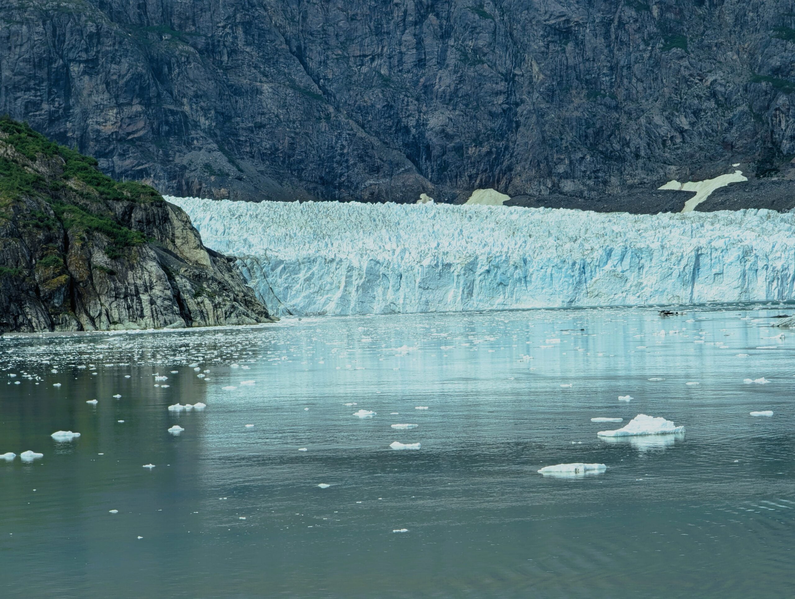 An Unforgettable Cruise through Glacier Bay National Park - FoxRVTravel
